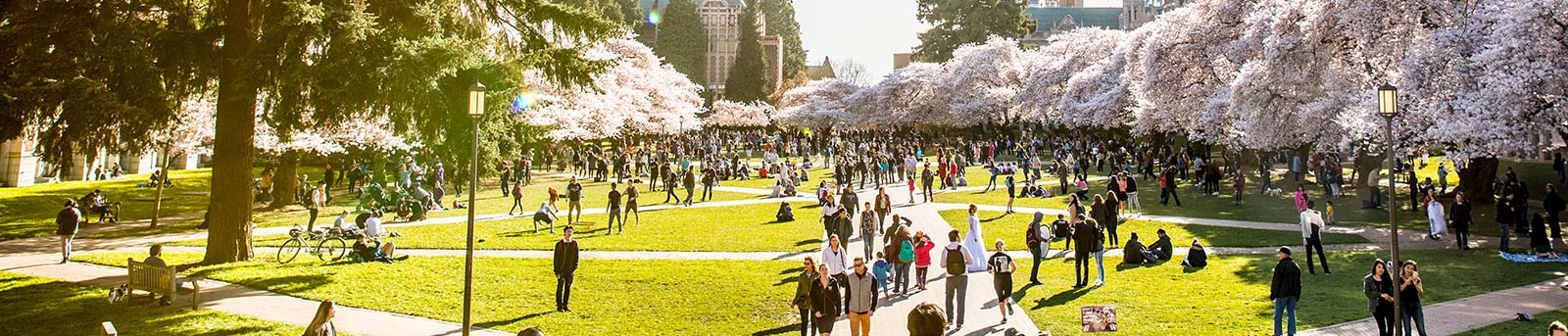 International & English Language Programs | University of Washington ...